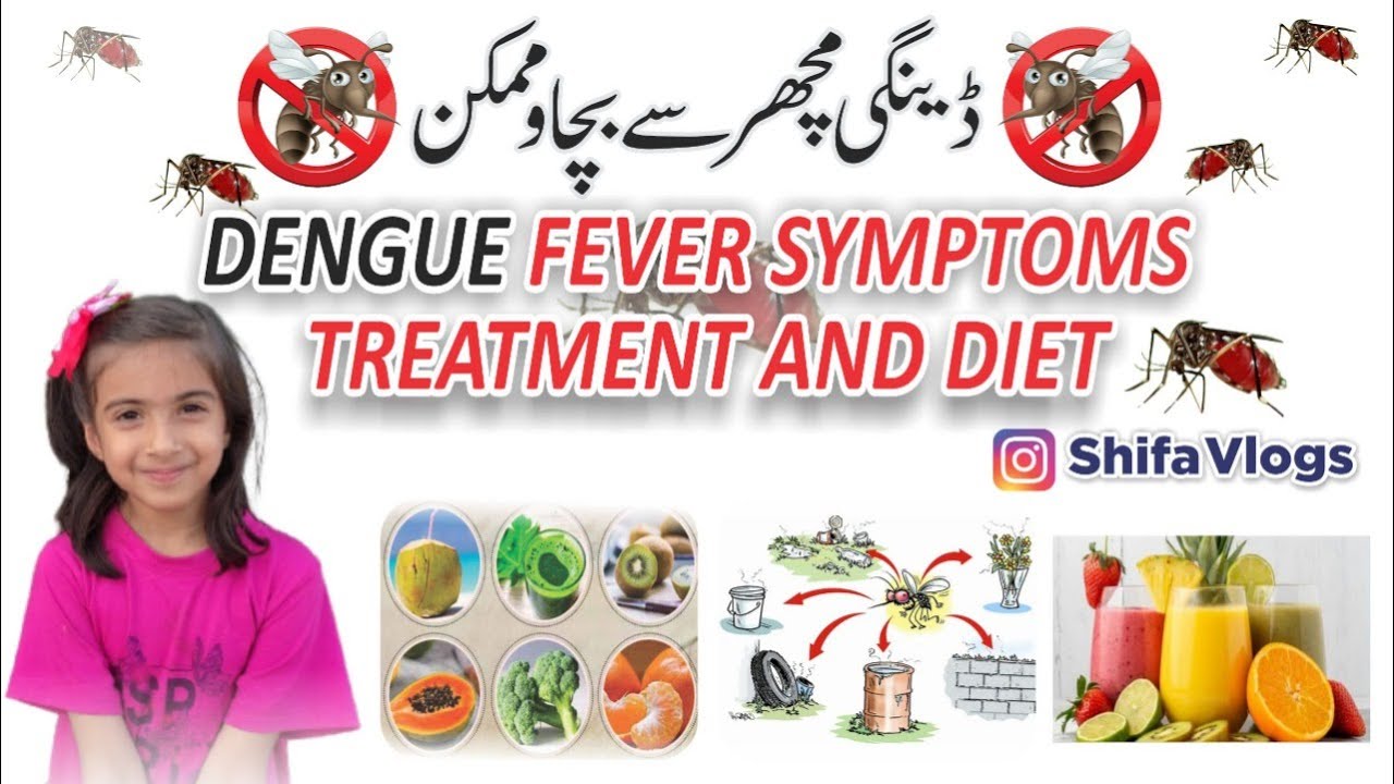Dengue Fever Treatment | Explained in 5 Minutes |Dengue Symptoms ...