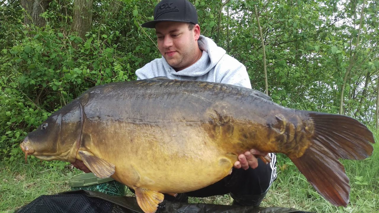 The Carpy Cast - 03-03-2022 - 1,20M+ GRASS CARP and big carp stockings ...