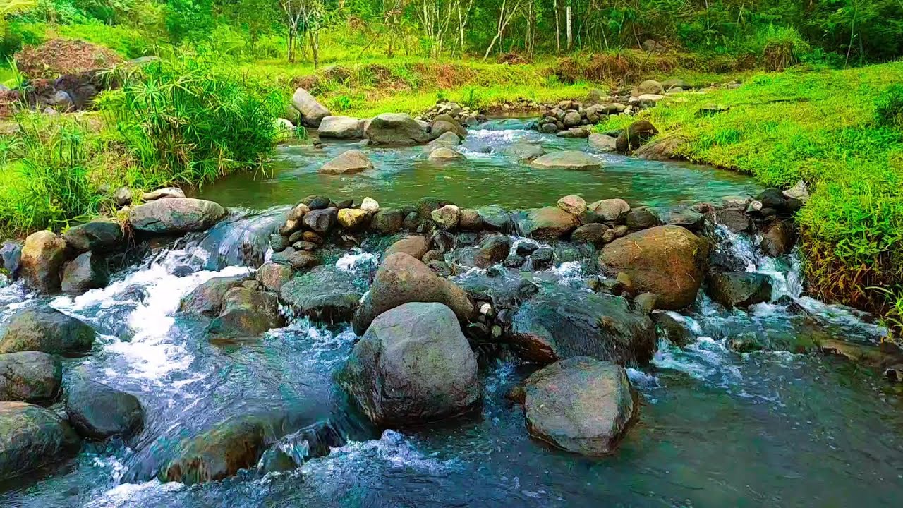 Soothing stream Waterfall Flowing Nature Sounds, White Noise to Sleep ...