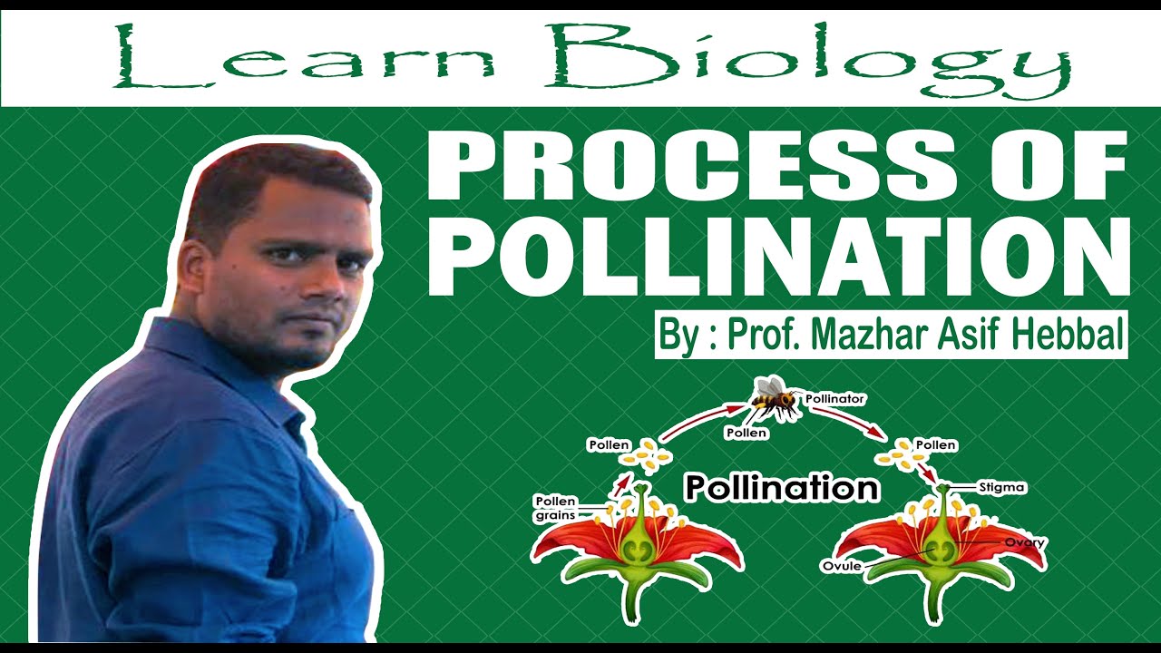 Pollination and it’s types. By- Prof. Mazhar Asif Hebbal - YouTube