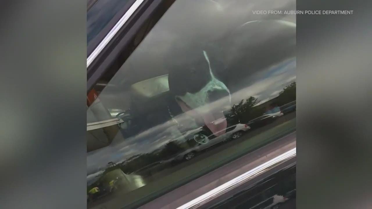 Auburn police demonstrate how quickly cars can heat up when left in the ...