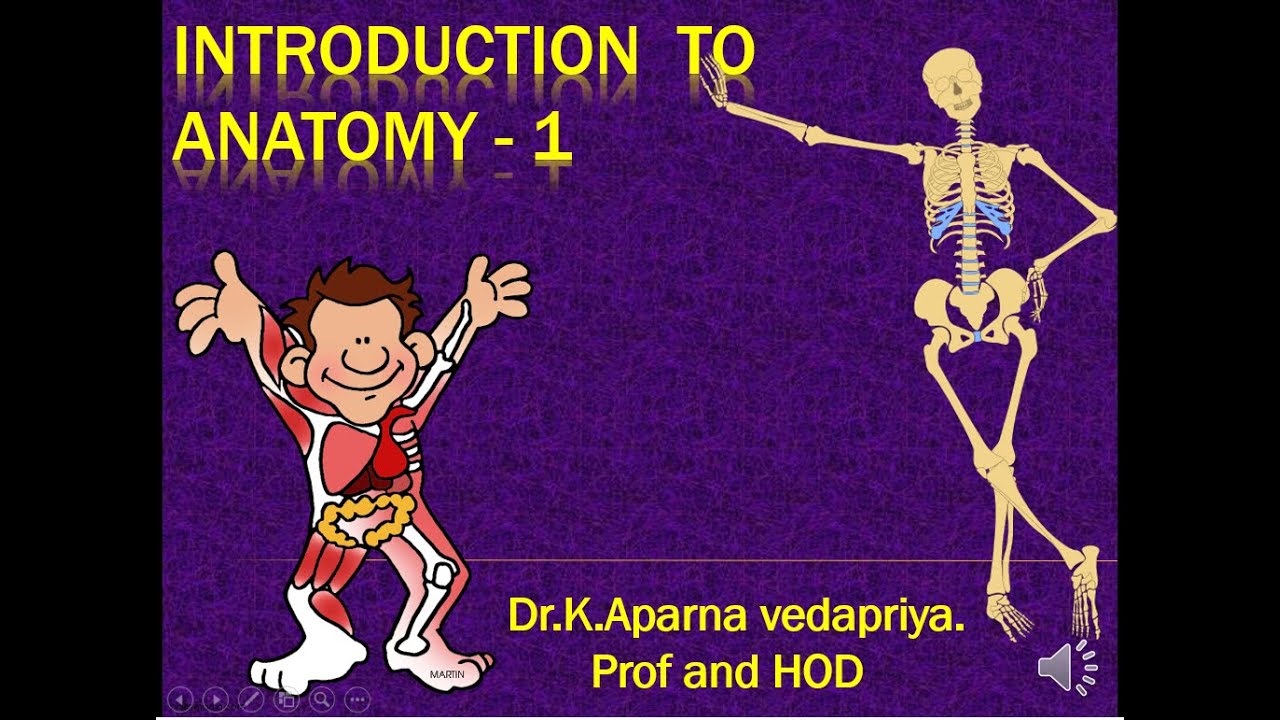 Introduction of Anatomy 1 - YouTube