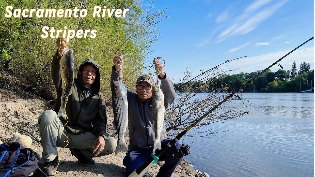 Sacramento River Striper fishing with my brother/ຕຶກປາ Striper ກັບລຸງ5 ...