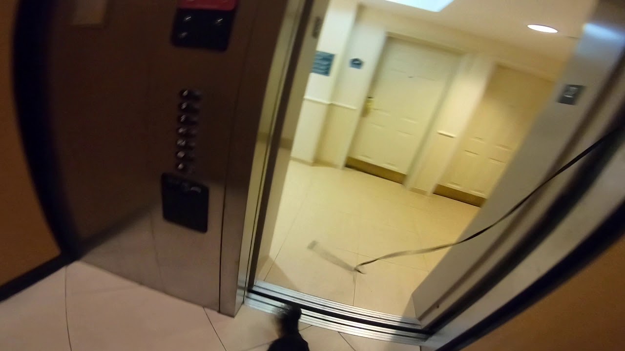 8/14/19 elevator trail TDH Lisa TD Niko - YouTube