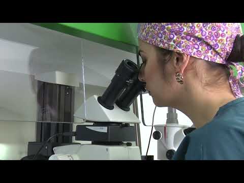 MAKÜ Türkiye’nin Embriyo Üretim İzni Alan İlk Üniversitesi Oldu