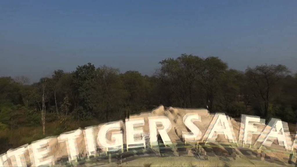World's First White Tiger Safari & Zoo, Mukundpur Forest-circle Rewa(M ...