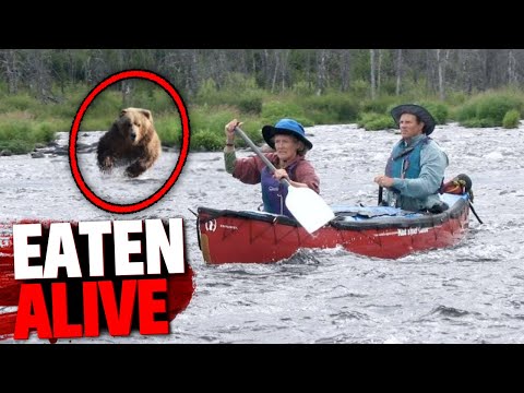 6 Most DISTURBING Animal Attacks in ALASKA History...