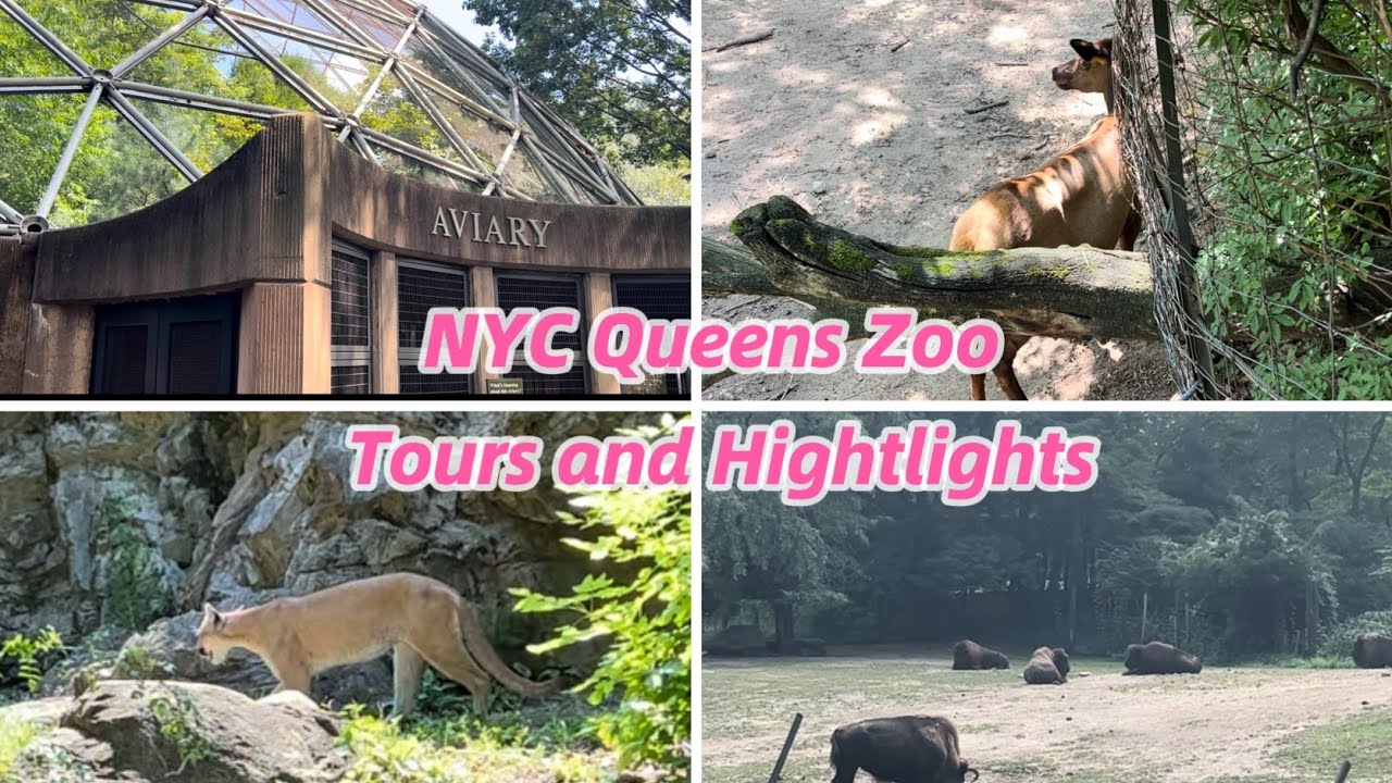 New York City Queens Zoo Tours and Highlights 2024 For Animal Lovers ...