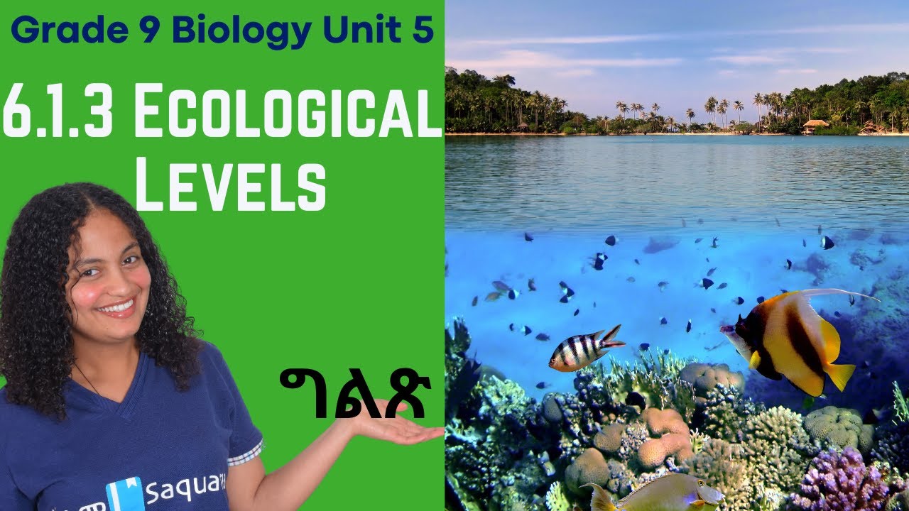 Grade 9 Biology Unit 6: 6.1.3 Ecological Levels | Saquama - YouTube
