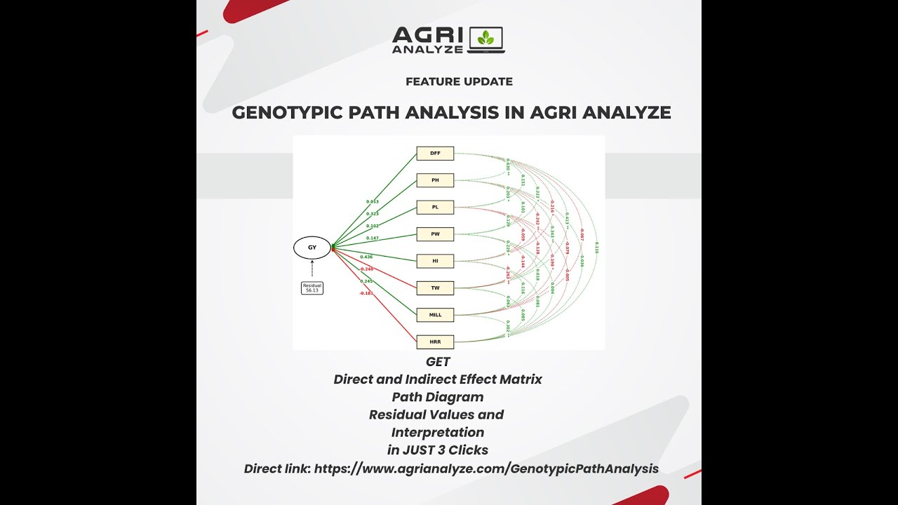 Genotypic Path Analysis with Path Diagram in Agri Analyze - YouTube