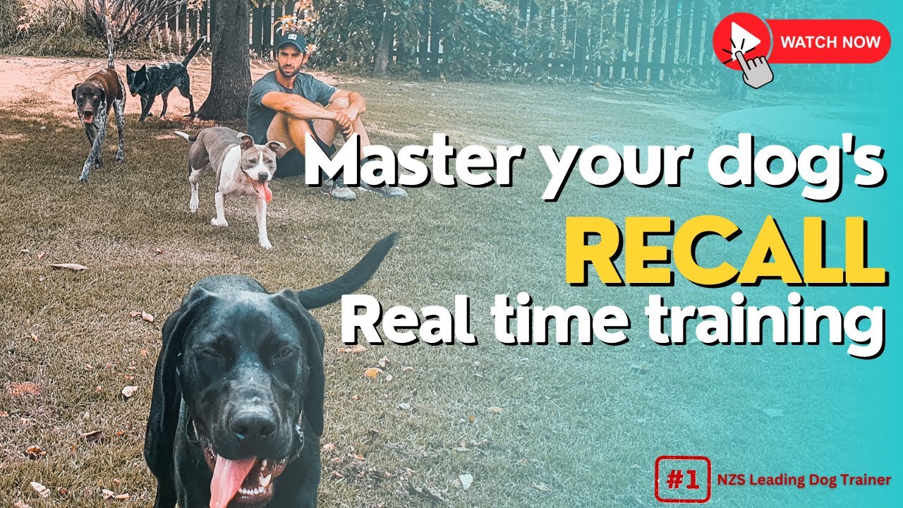 Long line recall - get these basics right first!!! - YouTube
