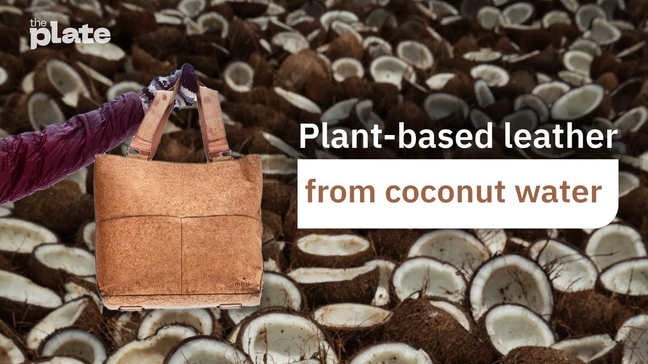 Plant-based leather from coconut water - YouTube