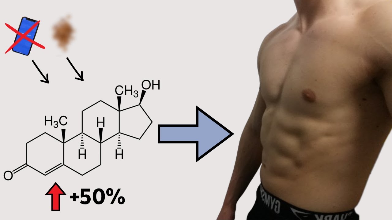 How to INCREASE your TESTOSTERONE naturally (No B.S.) - YouTube
