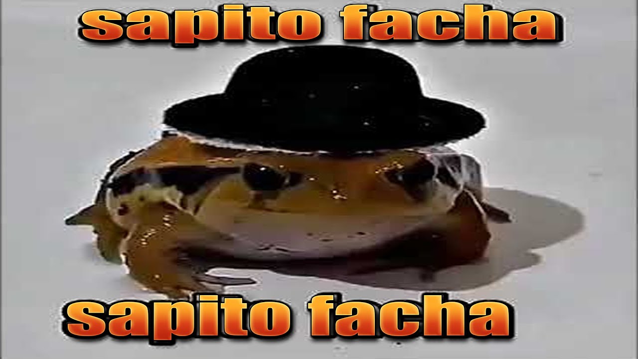 Sapito facha - YouTube