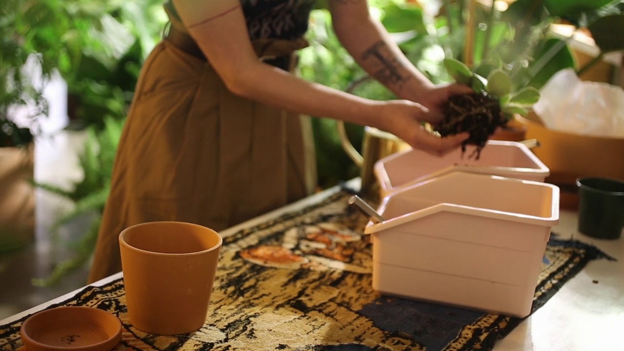 Potting 101 - YouTube