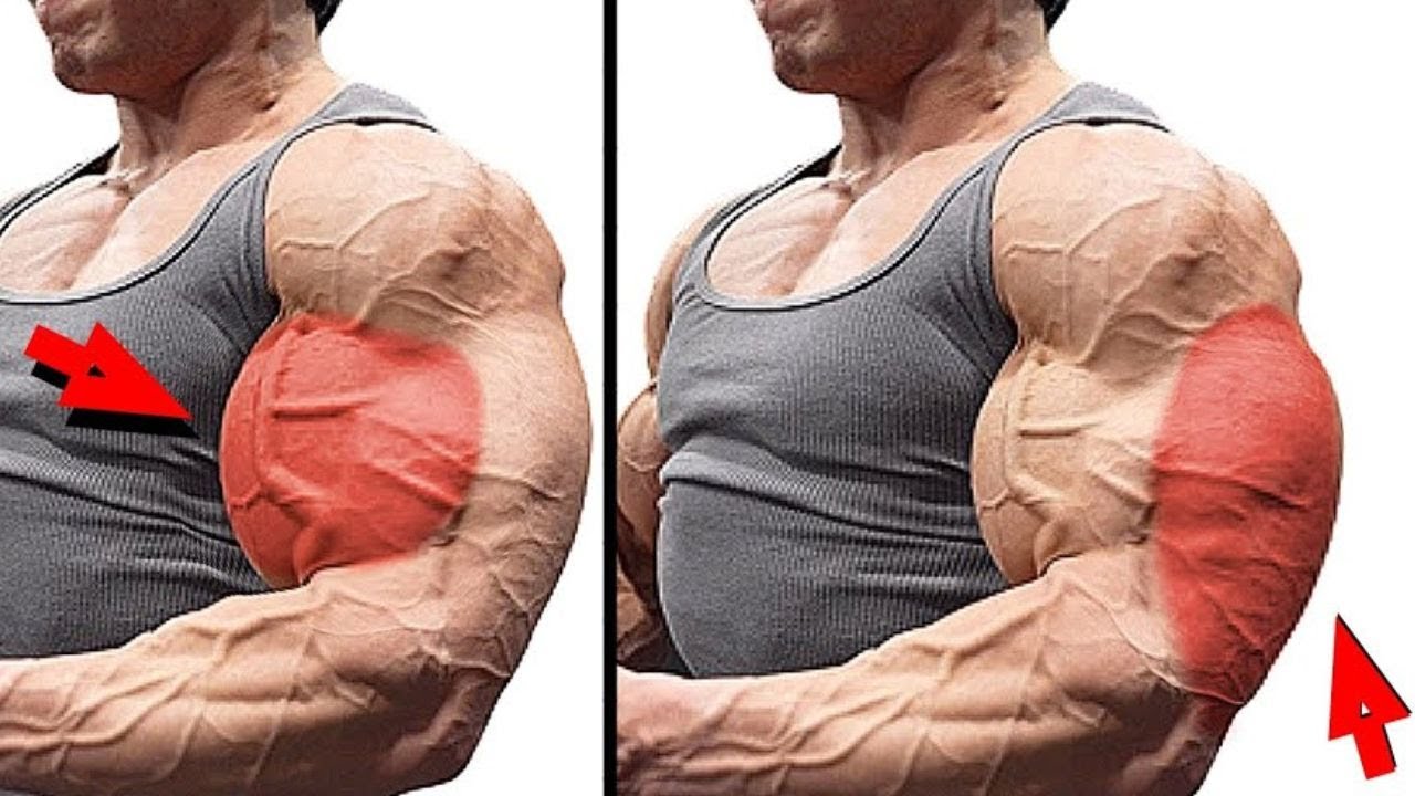 Most Effective ARMS WORKOUT for Bicep and Tricep - Top 6 Biceps and ...