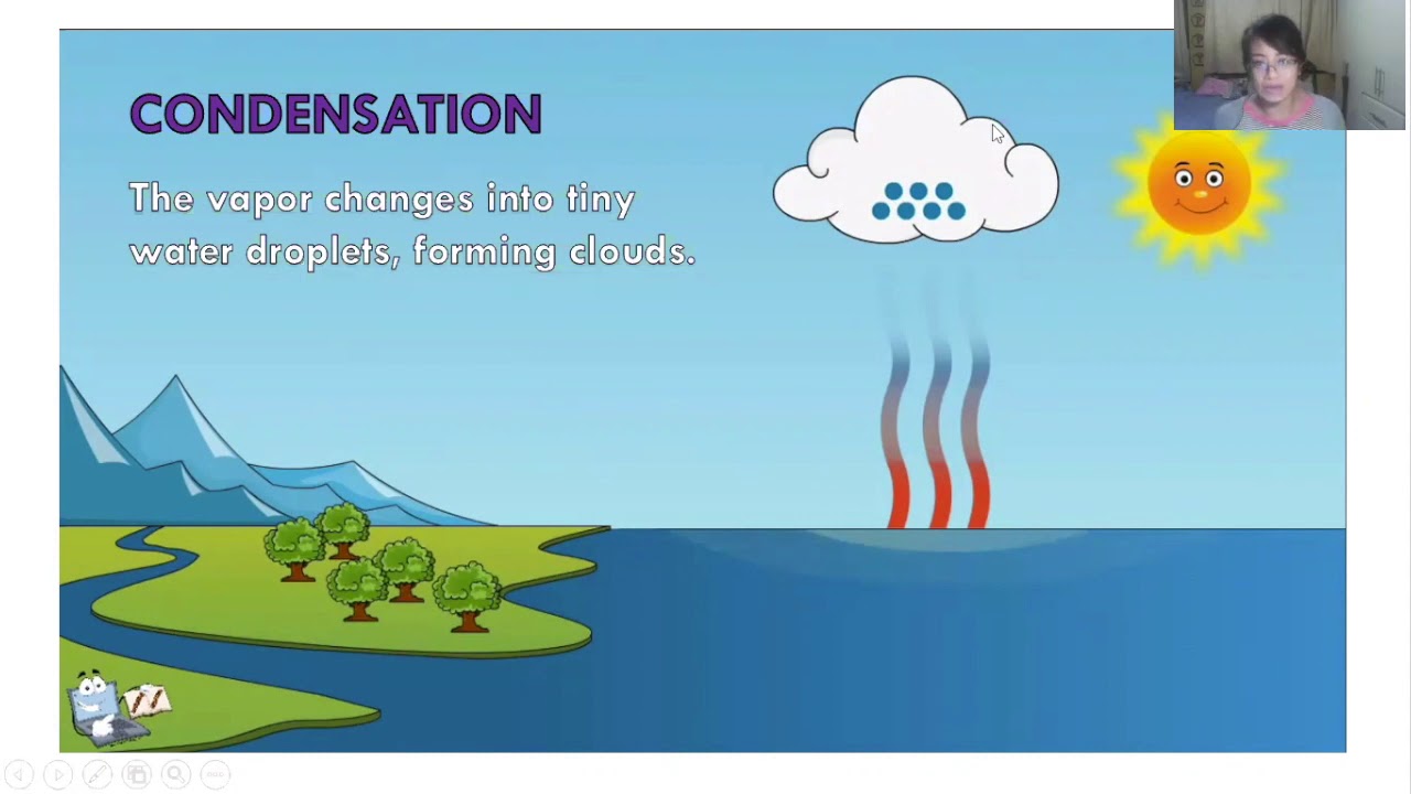 WATER CYCLE - YouTube