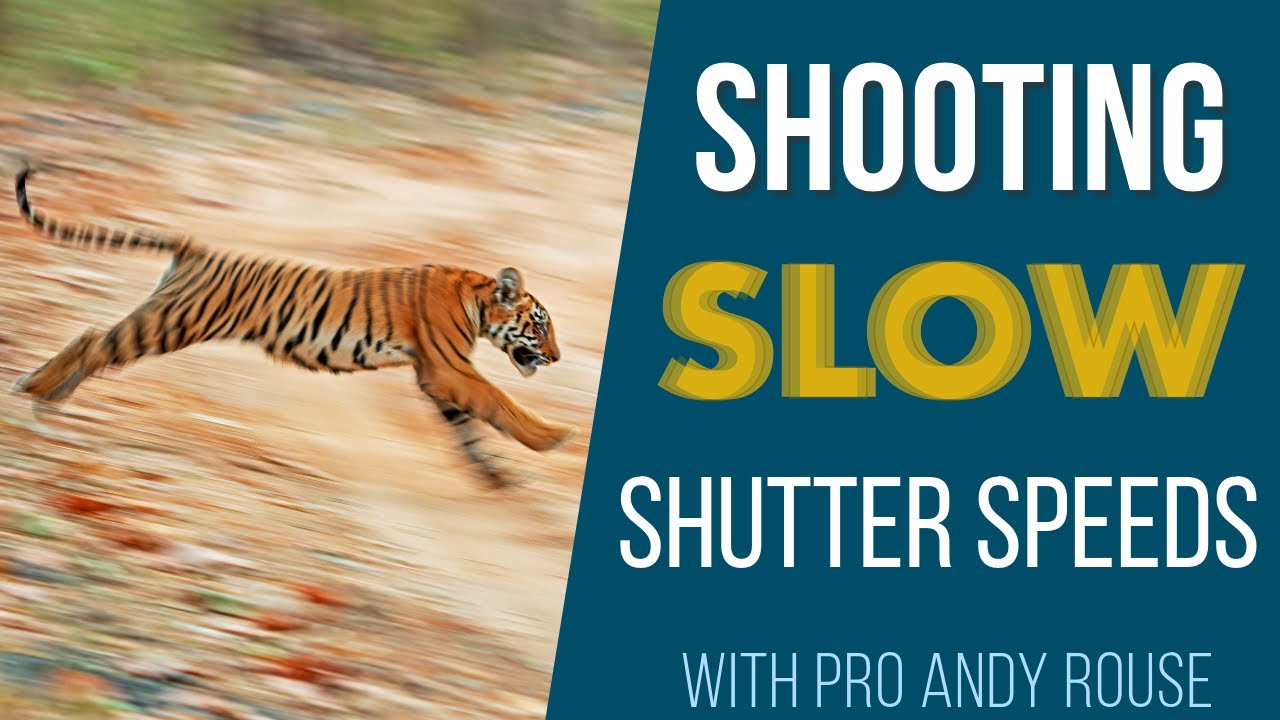 Pro Andy Rouse reveals THE magic shutter speed you NEED to know for ...