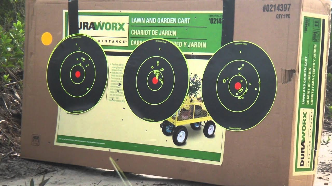.22lr Ammo testing- Federal AutoMatch Target vs. Winchester 333 - YouTube