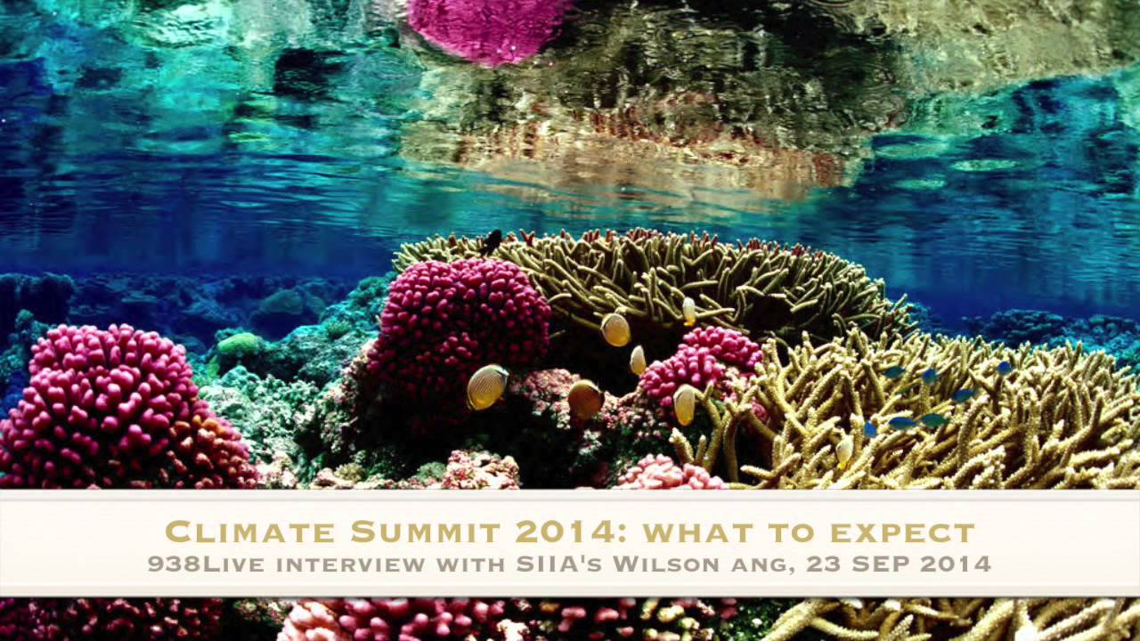 SIIA's Wilson Ang on Climate Change (Interview with 938Live) - YouTube