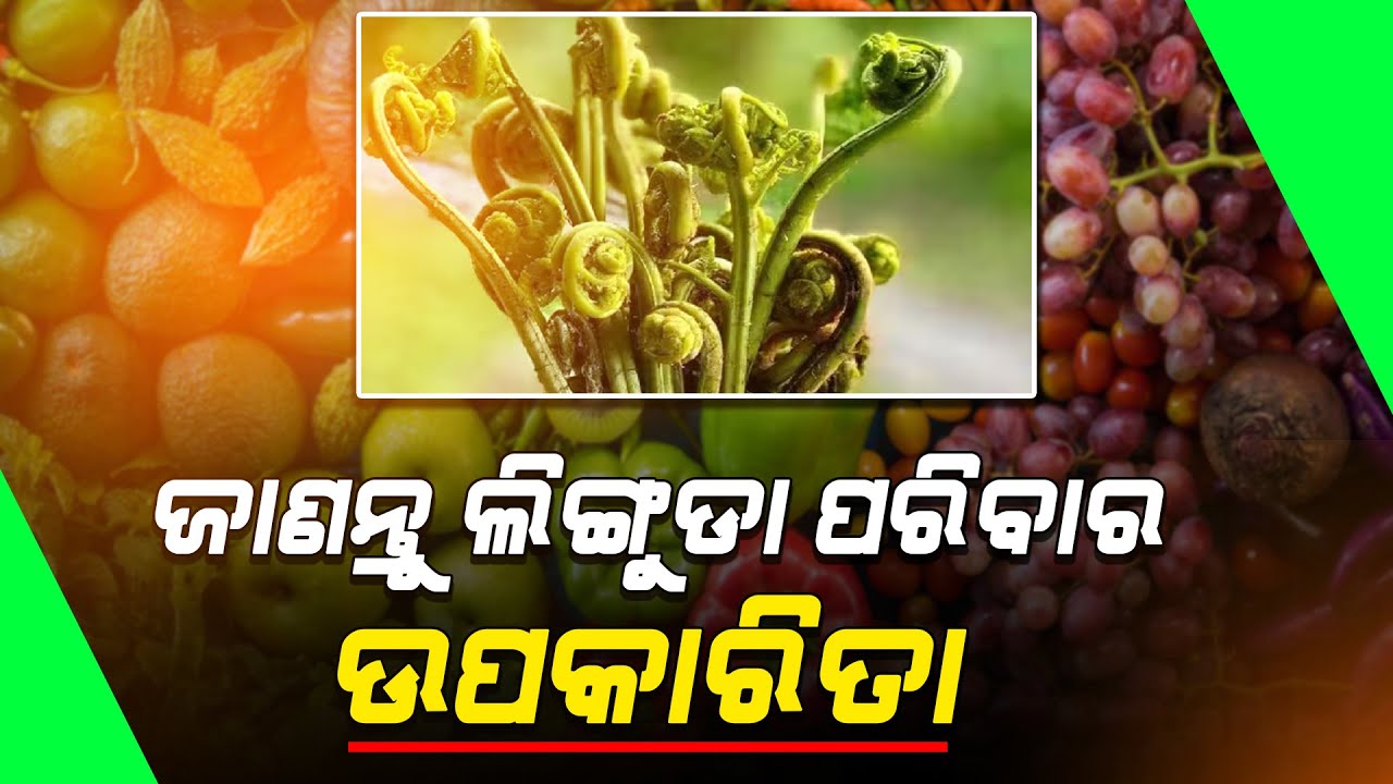 The benefits of lingad vegetable | Special story | Latest odianews ...