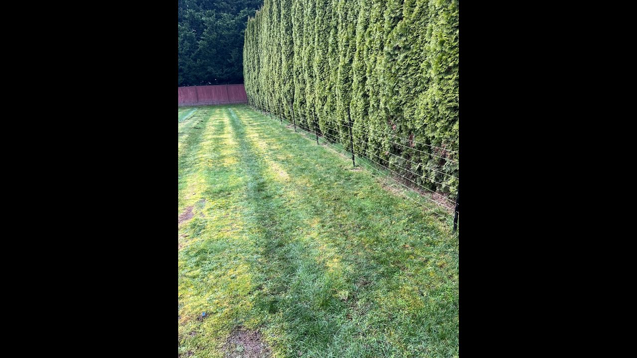 Simple DIY Electric Fence - YouTube