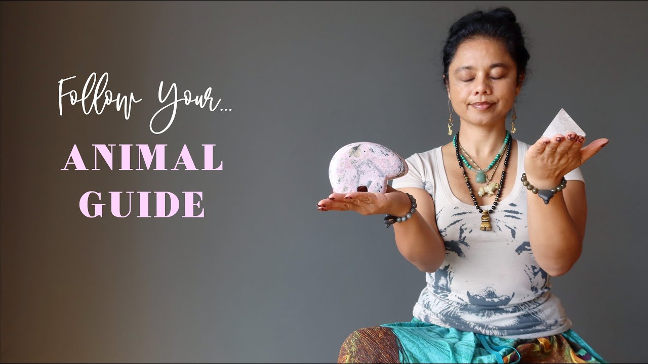 Animal Spirit Guided Meditation - YouTube