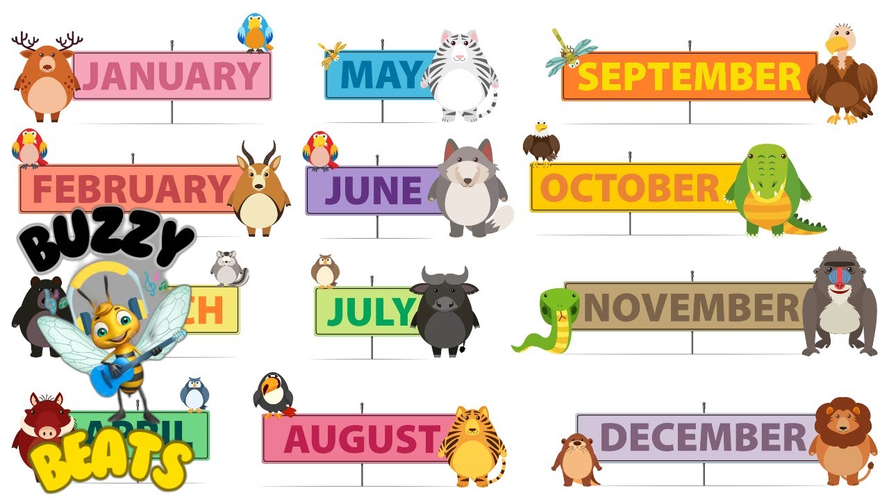 Months Of The Year | BUZZY BEATS - YouTube
