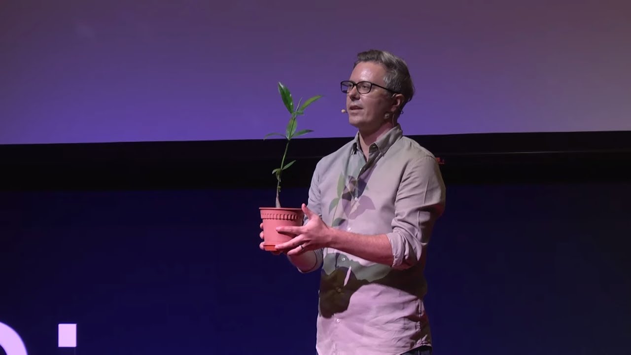 Case for optimism- The ecosystem protecting coastlines & storing carbon ...