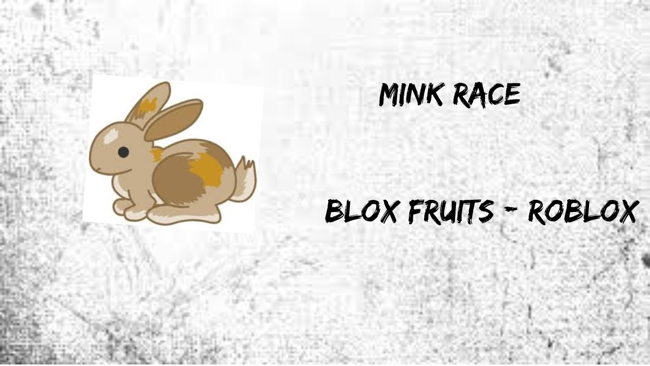 *MINK V1 - V2 - V3* SHOWCASE (Blox Fruits) - Roblox - YouTube