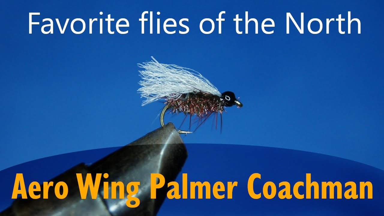 Fly tying: Aero Wing Palmer Coachman [Favorite flies of the North - pt ...