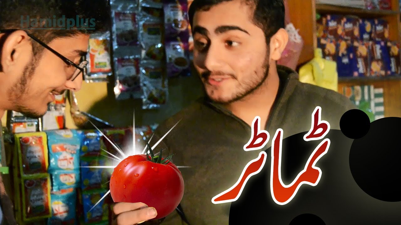 Tamator funny videos 2019 end 2020 - Hamidplus - Tamatar Graan Shu ...