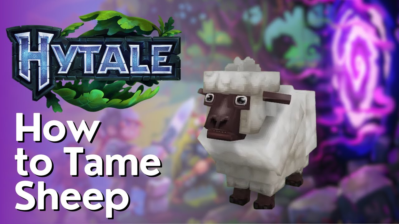 How to Tame Sheep in Hytale - YouTube