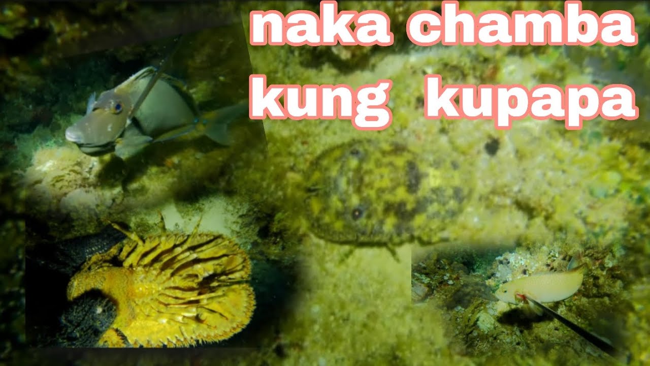 EP70 naka chamba akung kupapa night sperfishing philippines - YouTube