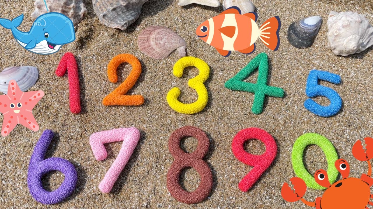 [English-Number Play] How to count 1-10 with Shell, Sea stoneㅣLearn to ...