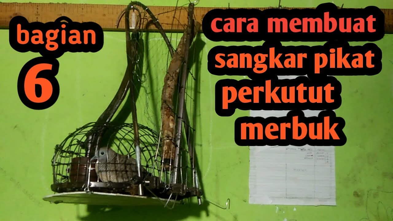 Cara membuat sangkar pikat burung perkutut atau merbok bagian 6 - YouTube