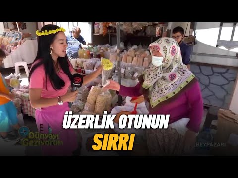 Teyzem Şifalı Otları Anlattı | Dünyayı Geziyorum Beypazarı