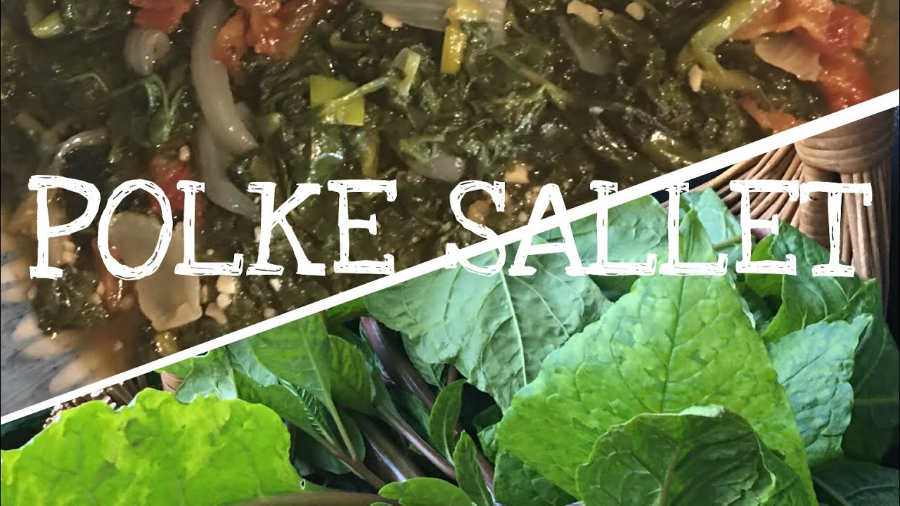 HOW TO PREPARE POLK SALLET COOKING WITH JUDY CALDWELL - YouTube