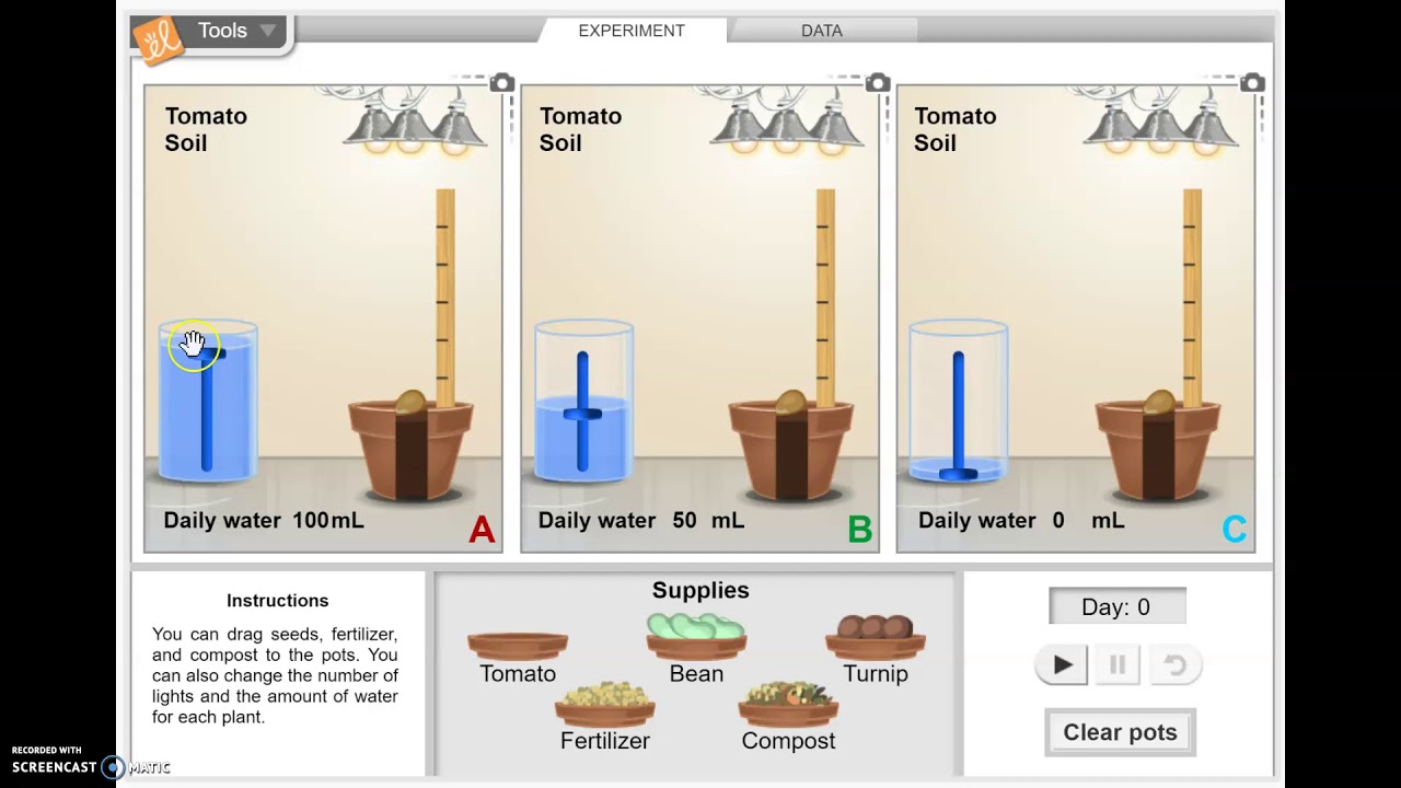 Environment Traits - Mr. Salamone 3rd Grade Science - YouTube