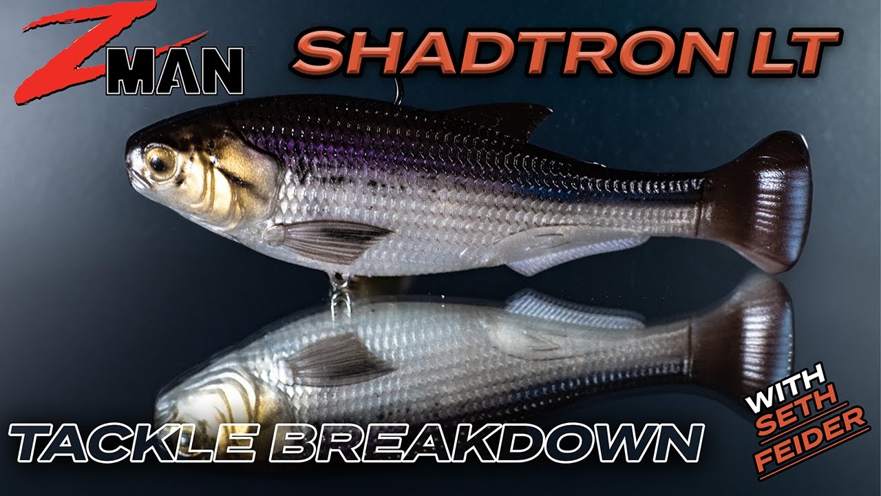Tackle Breakdown Of The NEW Z-Man Shadtron | Seth Feider - YouTube