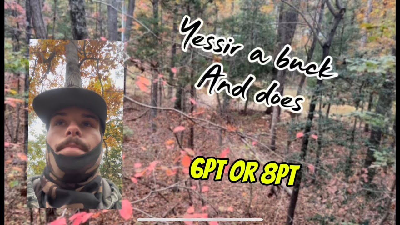 Dylan’s first sit of the 2025 season! #bowhunting #hunting #deer # ...