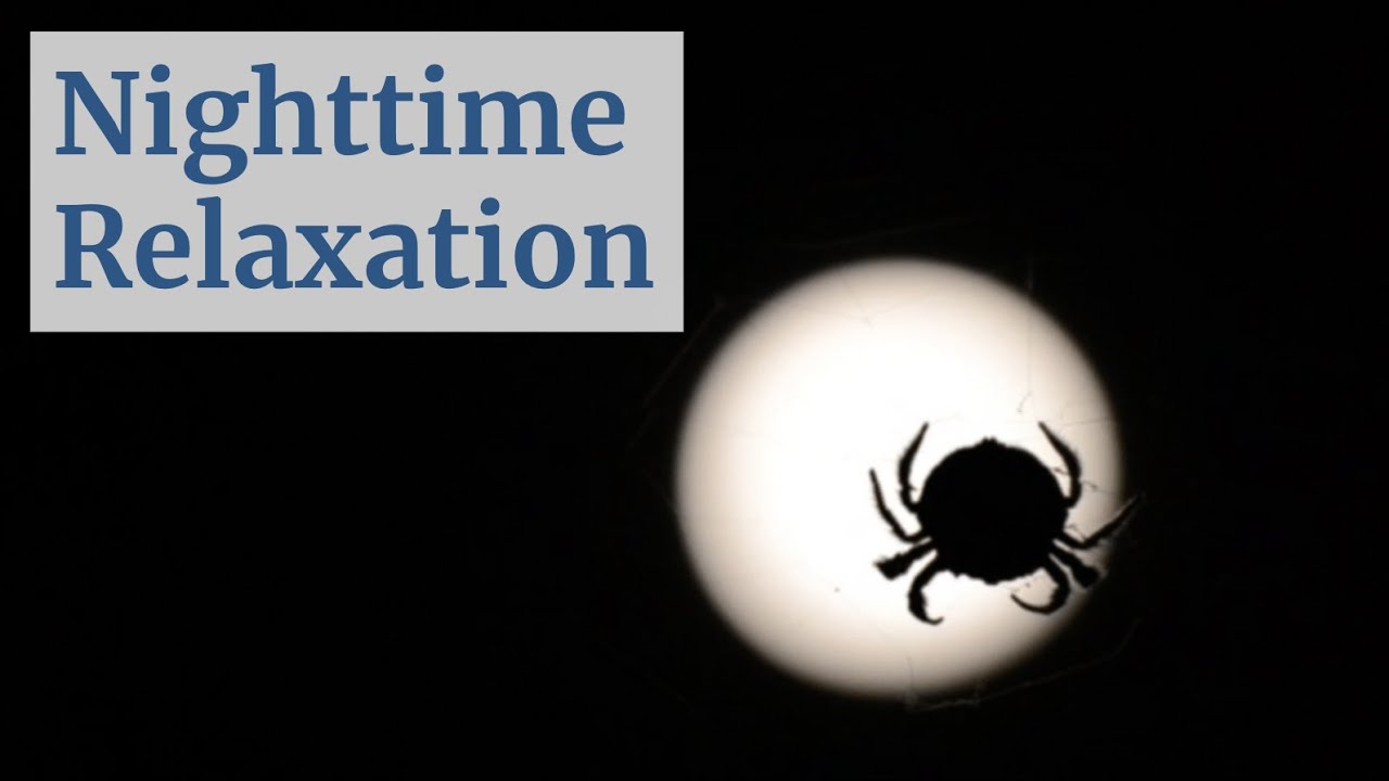 Nighttime Cricket Sounds |For Sleep, Relaxation | 1 Hour of Natural ...