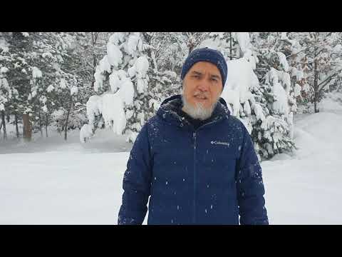 Əlixan Musayev - Xəzinə axtaranlara nəsihət