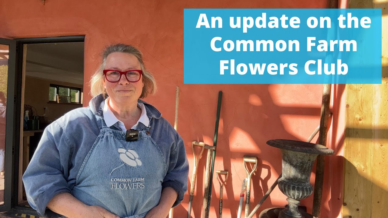 Update re the Common Farm Flowers Club - YouTube