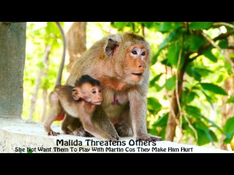 The Most Caring .! Granny Threaten Others Not Allow Them Play With ...