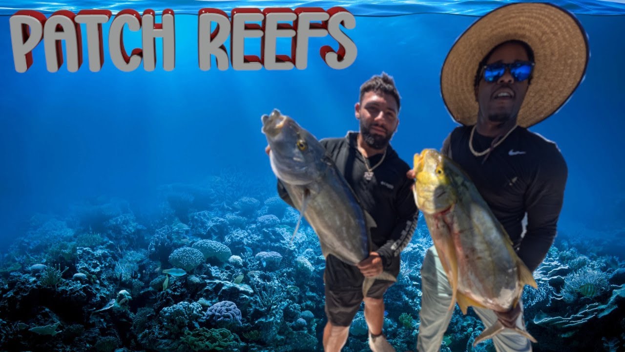 We Went to the Patch Reefs — You Won’t Believe What We Caught! - YouTube