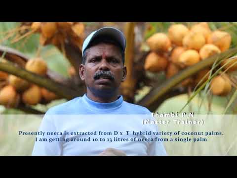 neera film English - YouTube