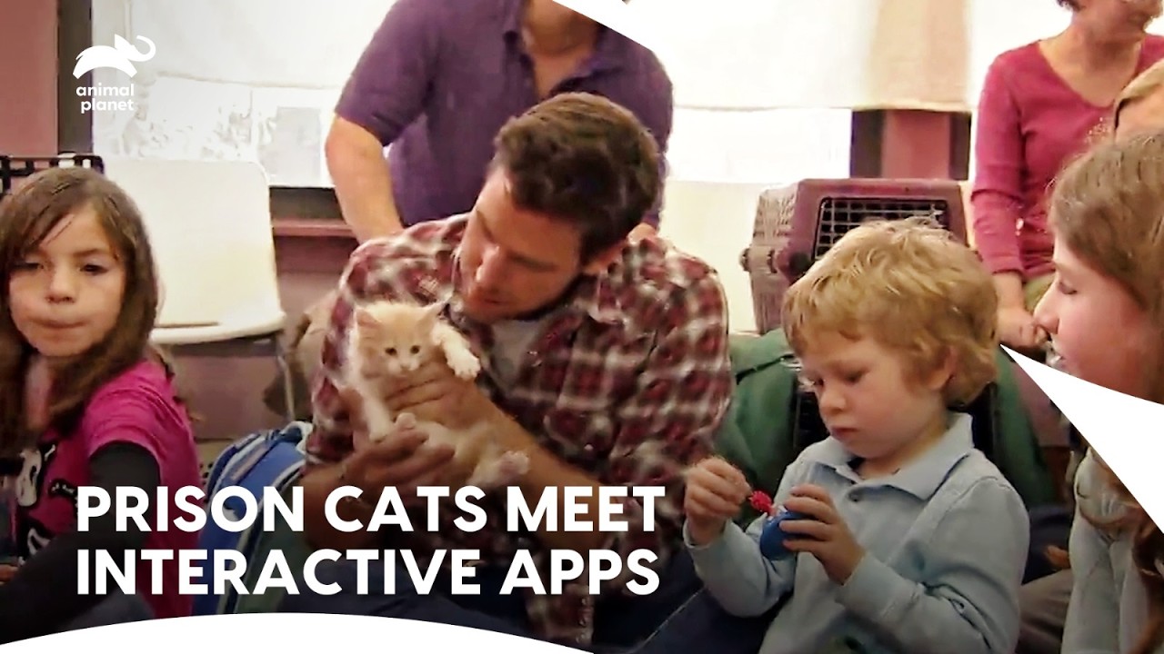 Prison Cat Program & Apps for Cats Changing Lives | Must Love Cats S1b ...