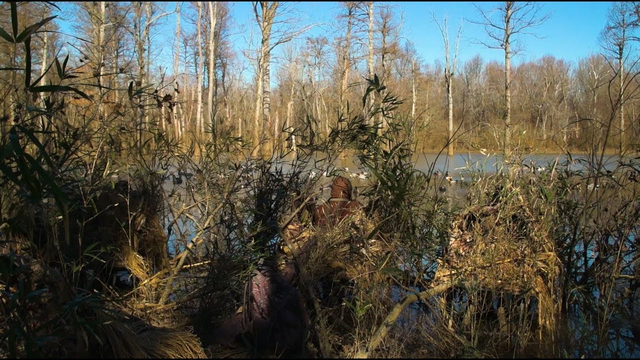 MOMARSH Invisiman Ducks in the Timber - YouTube
