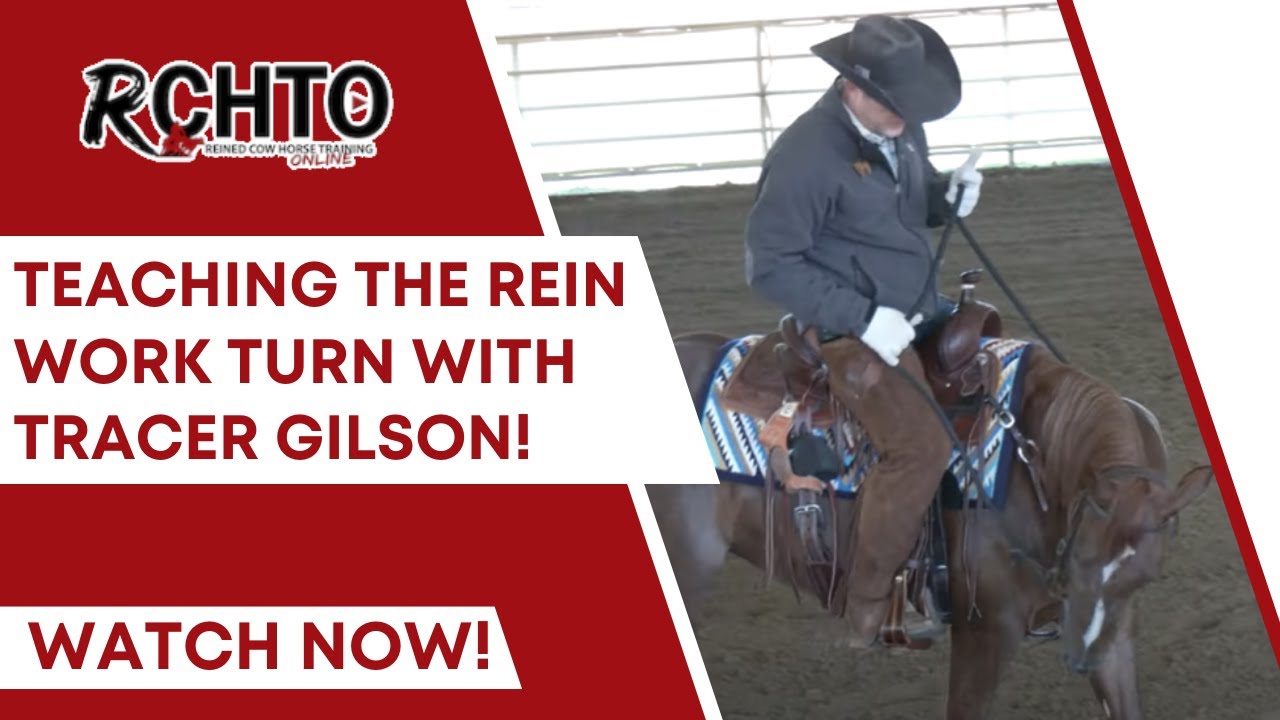 Teaching The Rein Work Turn with Tracer Gilson! - YouTube